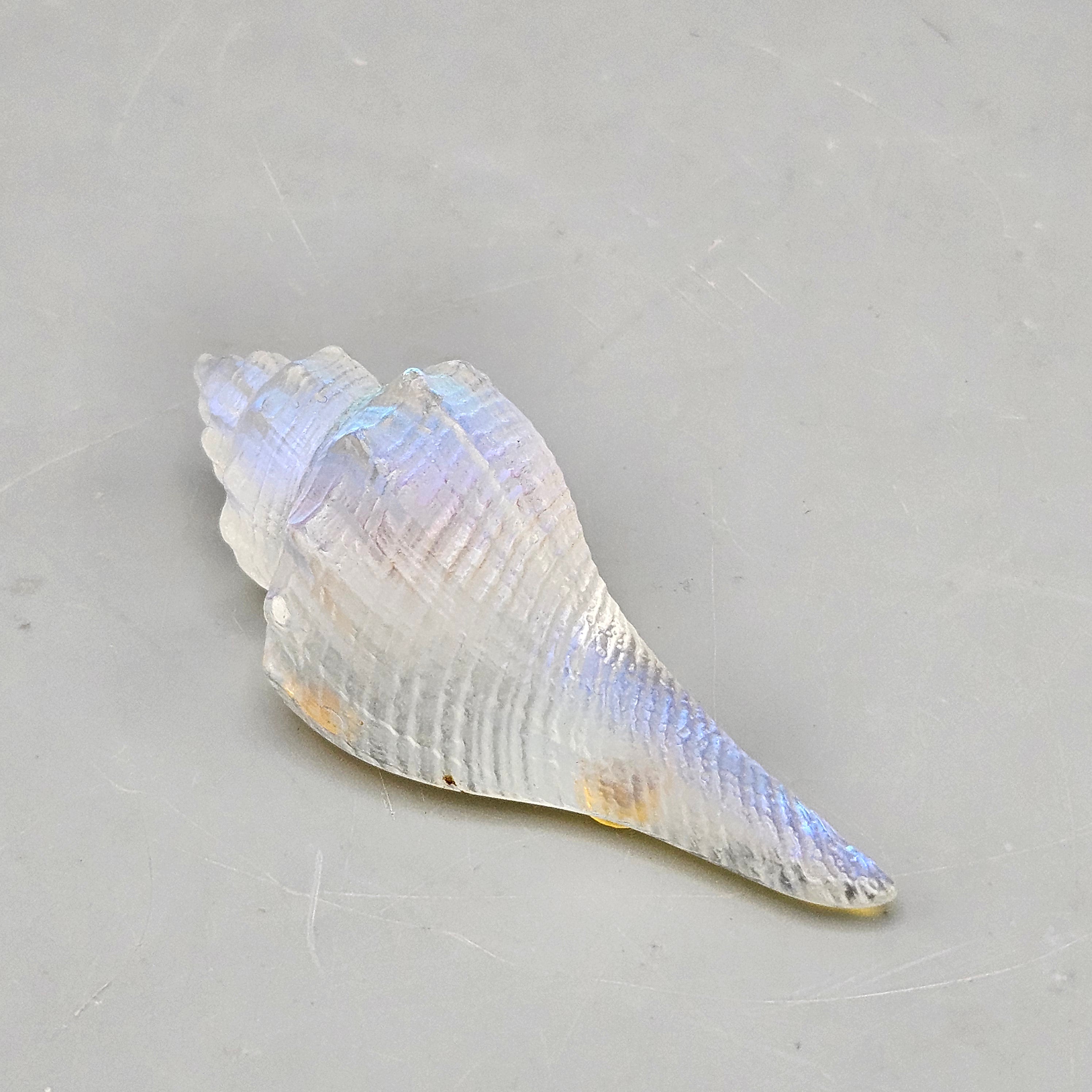 Iridescent Art Glass Seashell Paperweight | Authenticated Estate ...